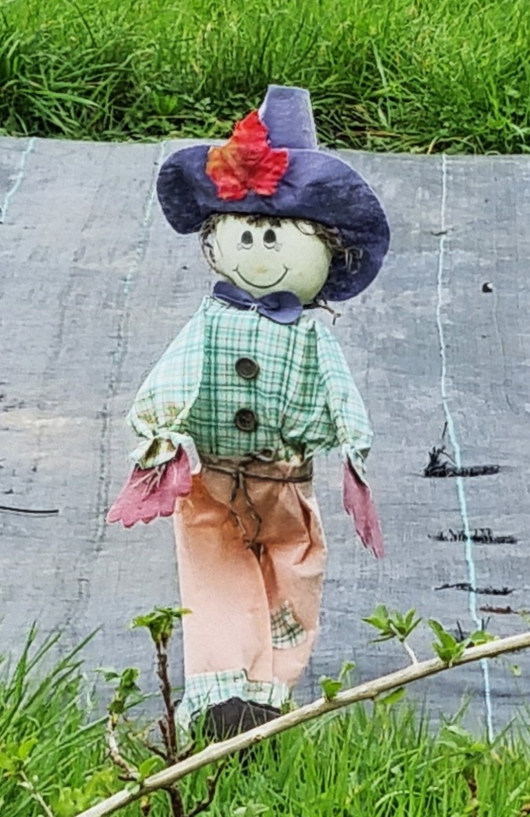 North Downs Way: Wye to Etchinghill