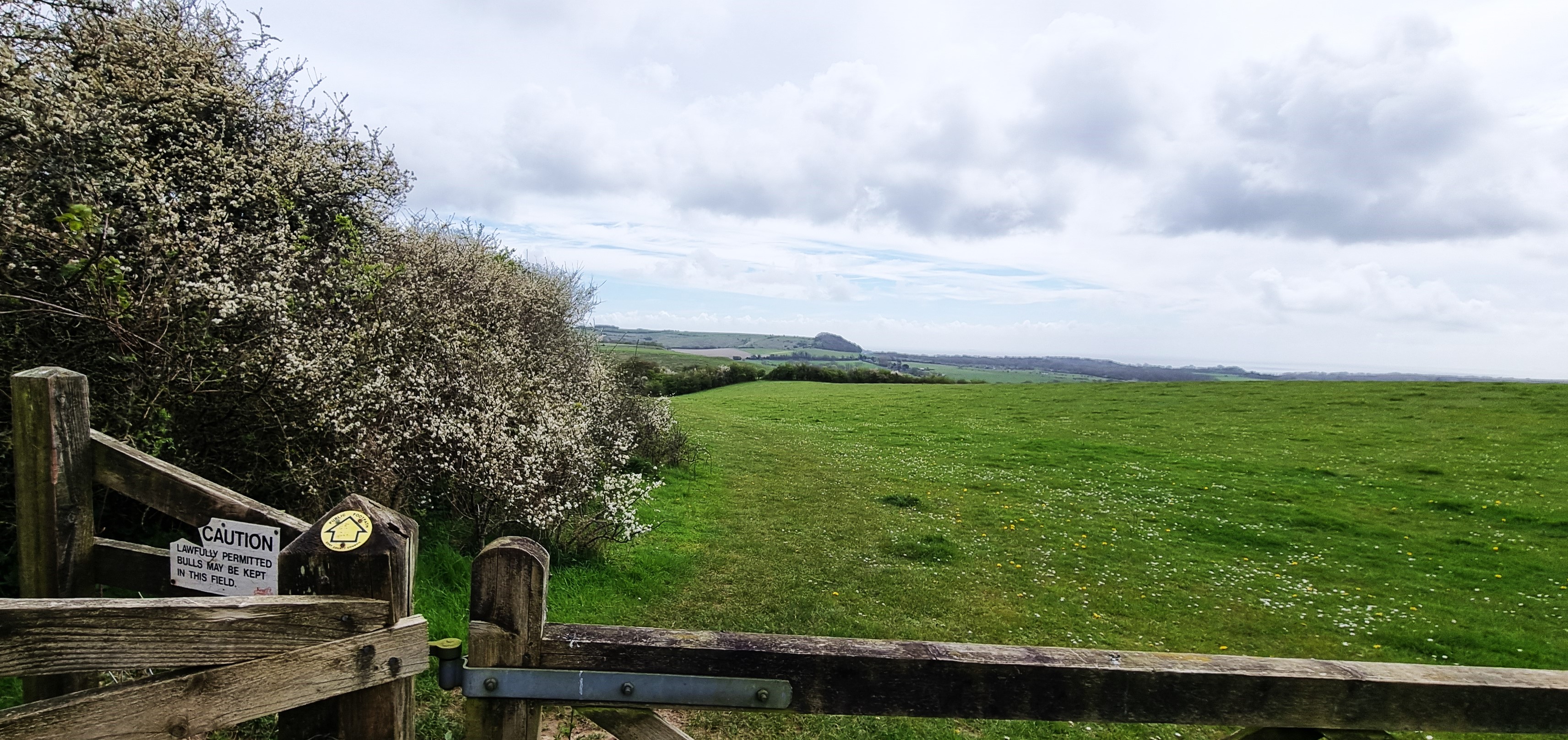 North Downs Way: Wye to Etchinghill