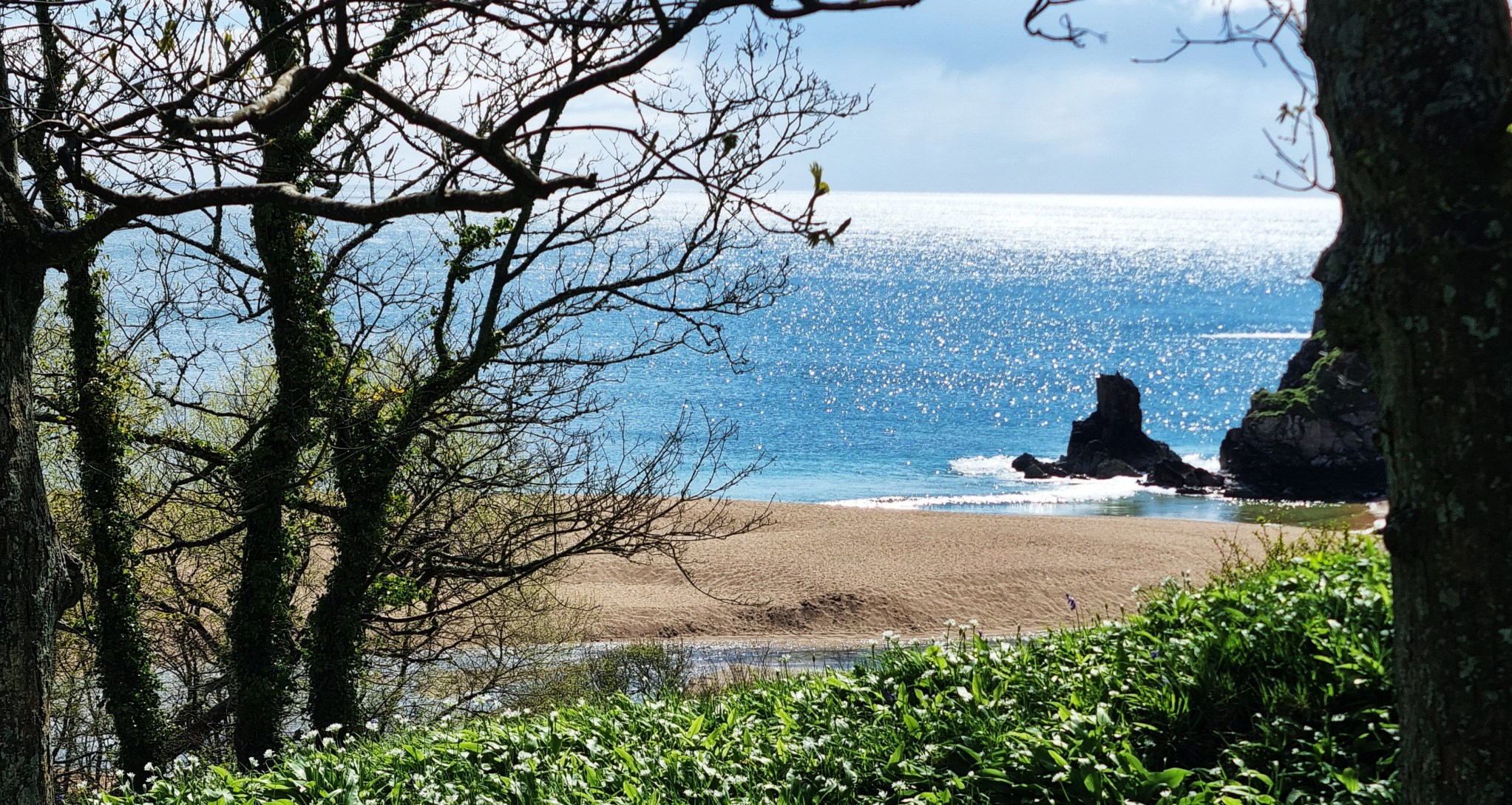 South West Coast Path: Torcross to Starcross
