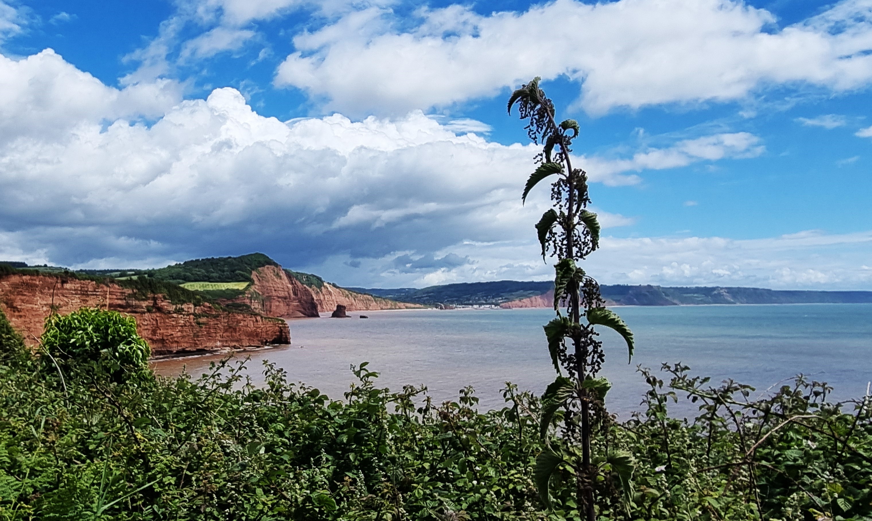 South West Coast Path: Exmouth to Charmouth
