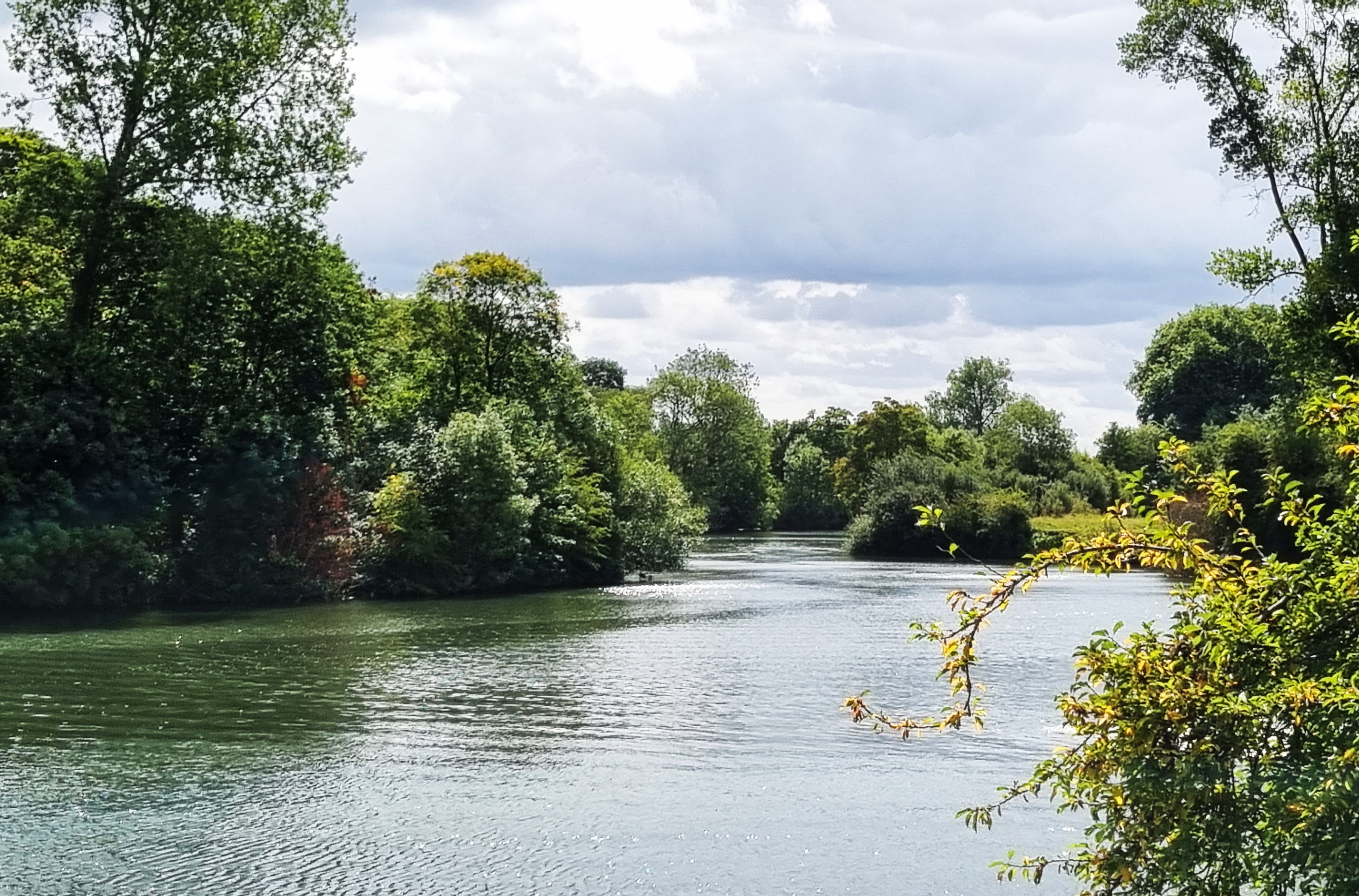 Thames Path: Pangbourne to Henley